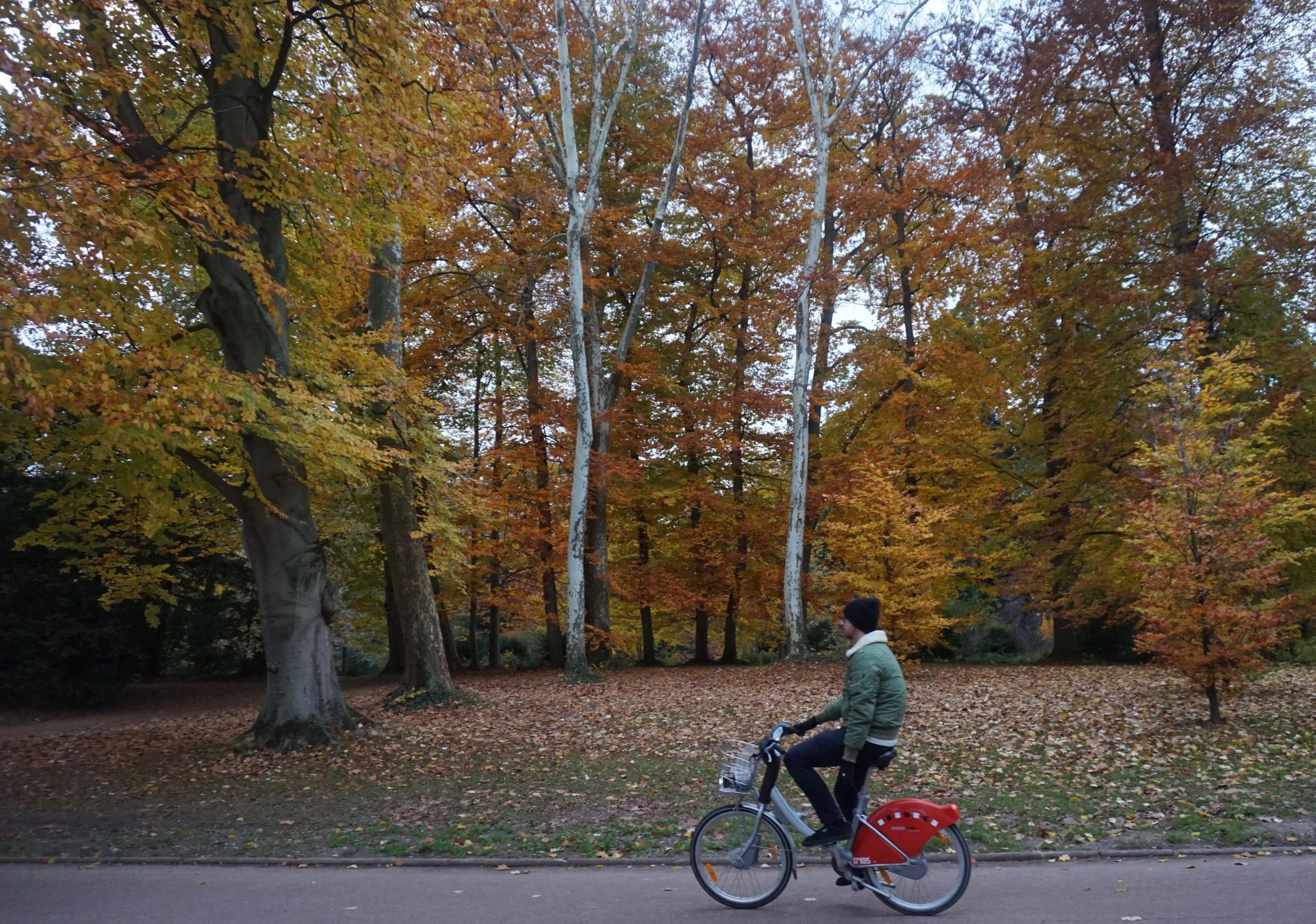 Verbos parecidos en inglés: fall, fill, feel, fail - Madrid Inglés